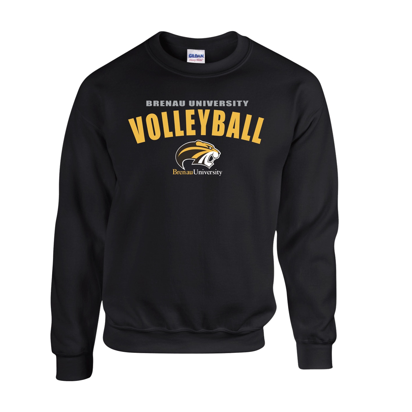 Brenau University - VOLLEYBALL Shop | Athletic Solutions